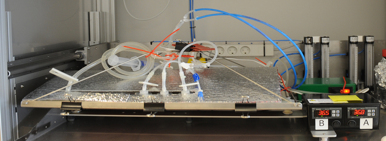 CerCell - Configurable batch Single-Use-Bioreactor